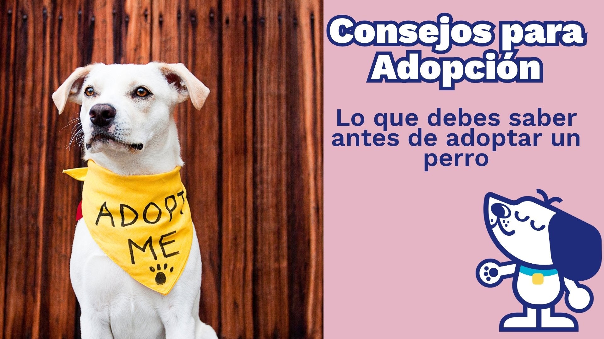 Tienes Que Pagar Para Adoptar Un Perro