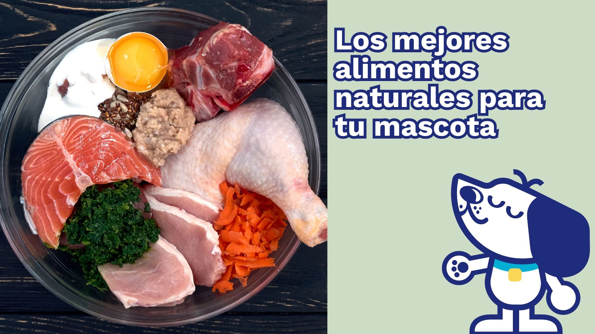 Los mejores alimentos naturales para tu mascota – Camita Bienestar