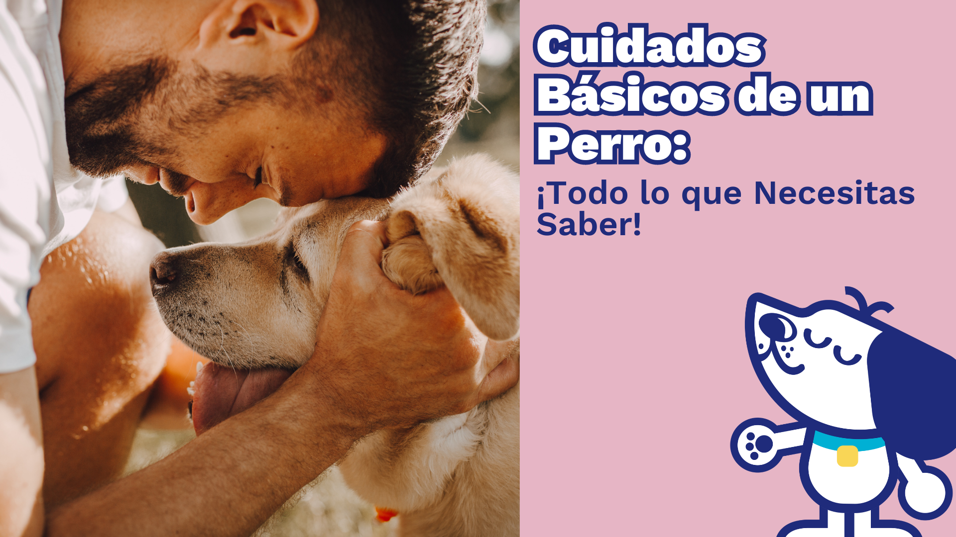 Cuidados Básicos de un Perro: ¡Todo lo que Necesitas Saber! – Camita ...